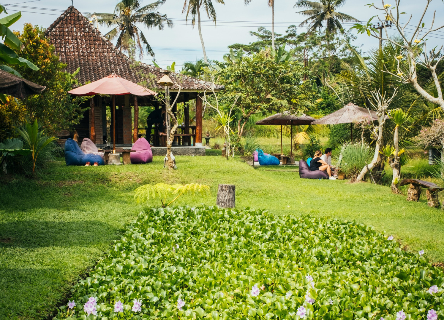 Essential guide to expat life in Bali